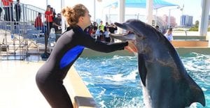 Careers in Marine Science - Clearwater Marine Aquarium