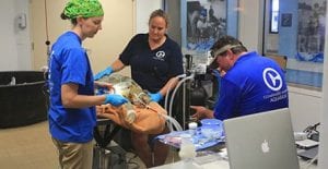 Careers in Marine Science - Clearwater Marine Aquarium