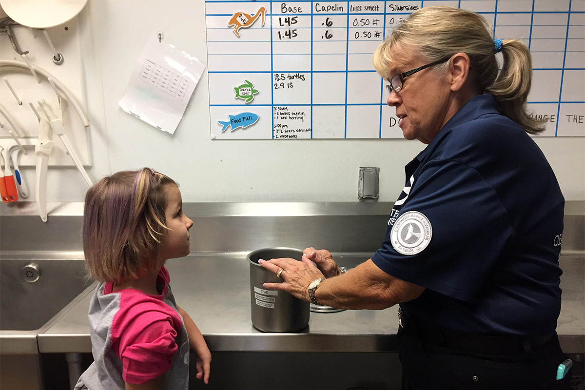 Seven-Year-Old Dolphin Tale Fan Meets Her Heroes at Clearwater Marine ...