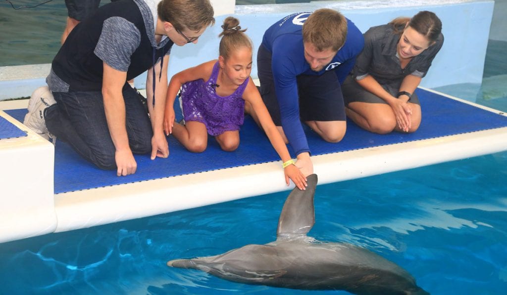 The Dolphin Tale Stars Visit and Surprise Special Guest Mayra ...