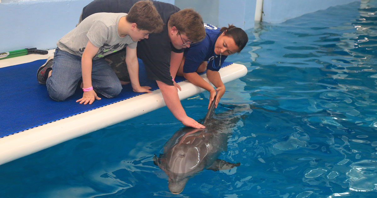 Two Brothers Meet Rescued Dolphins and Fulfill a Dream - Clearwater ...