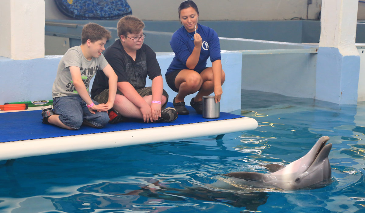 Two Brothers Meet Rescued Dolphins and Fulfill a Dream - Clearwater ...