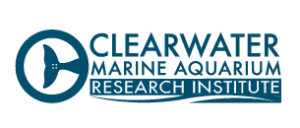 Research Institute - Clearwater Marine Aquarium