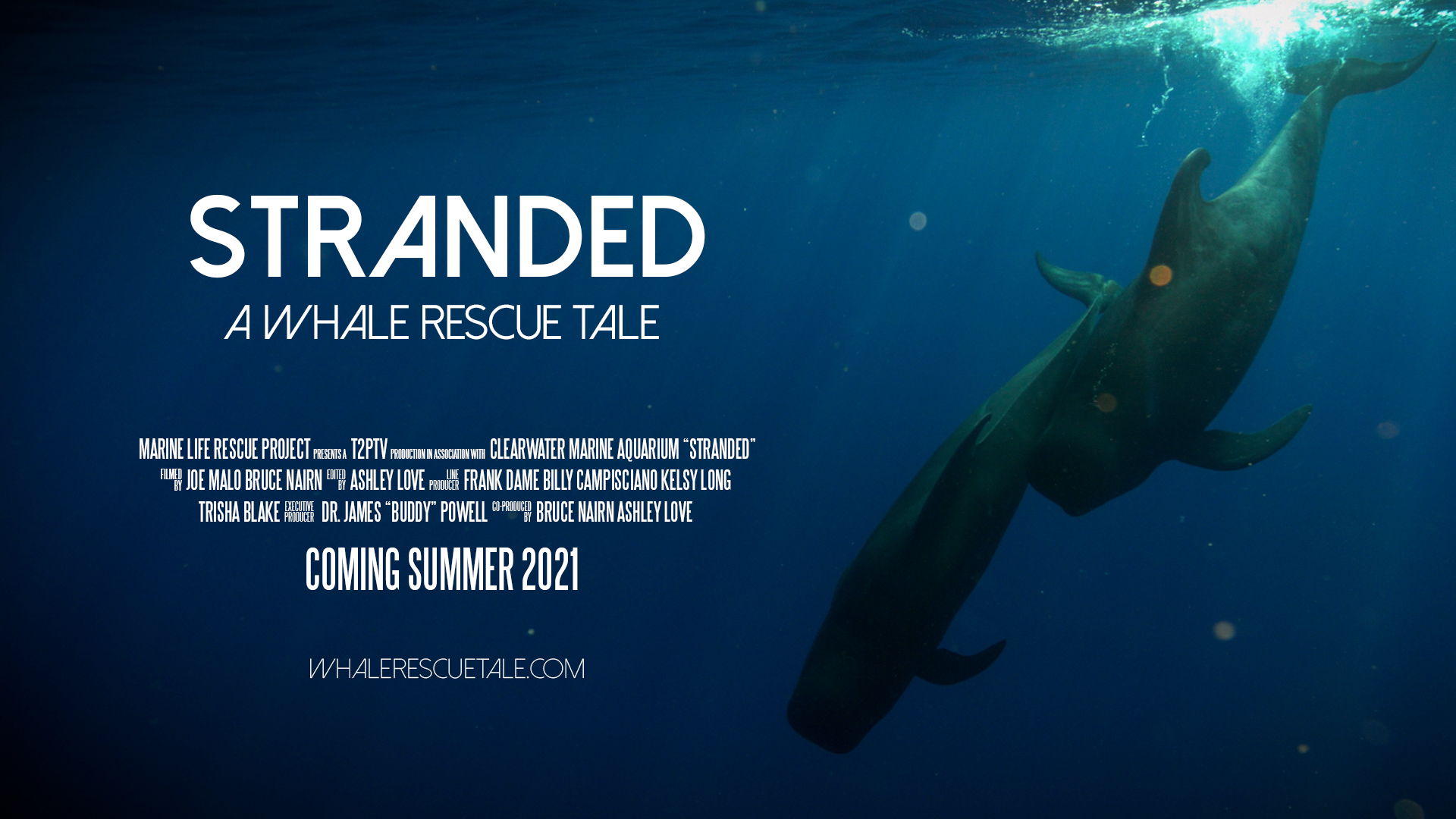 Stranded: A Whale Rescue Tale - Clearwater Marine Aquarium