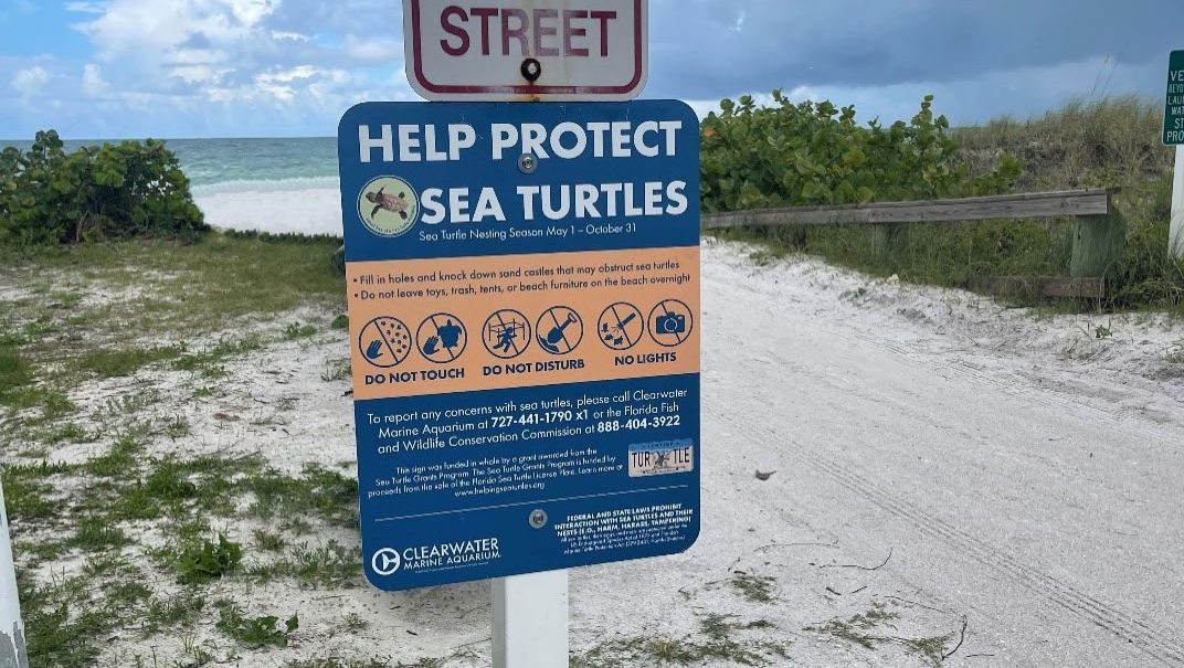 Grant Awarded for Sea Turtle Nesting Signage - Clearwater Marine Aquarium