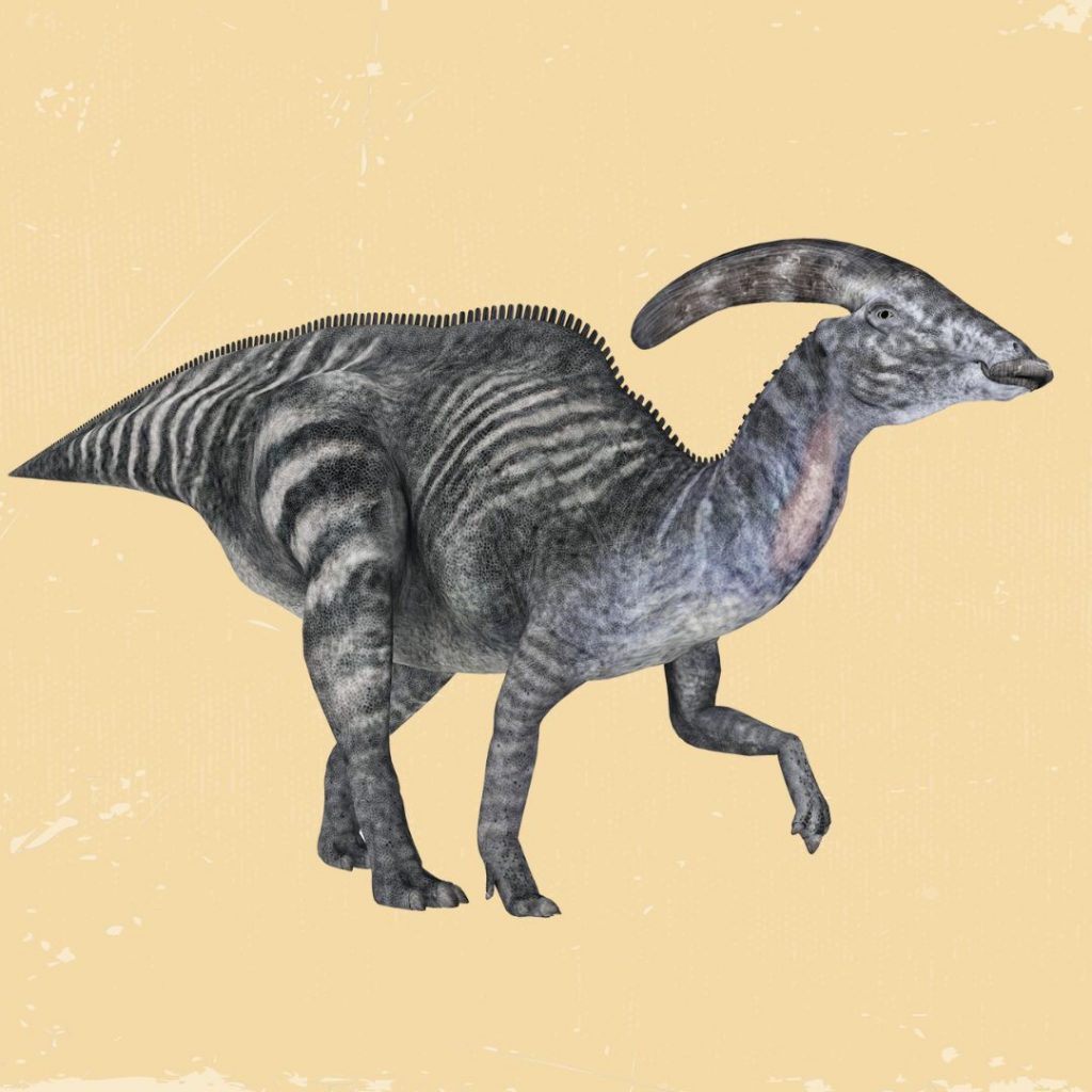 Dino Rescue Patients – Gus - Clearwater Marine Aquarium