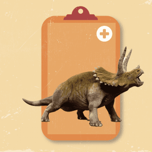 Dino Rescue Patients – Sarah - Clearwater Marine Aquarium