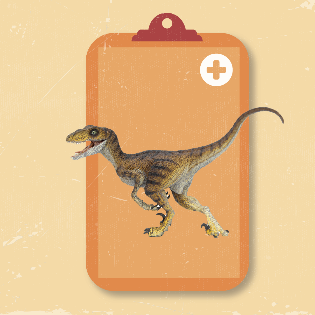 Dino Rescue Patients – Nugget, Popcorn, & Waffle - Clearwater Marine ...