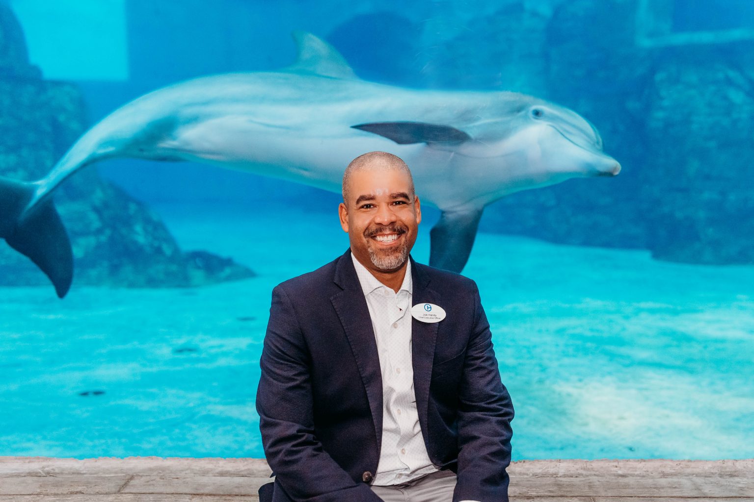 Clearwater Marine Aquarium’s New CEO Joe Handy Looks to the Future