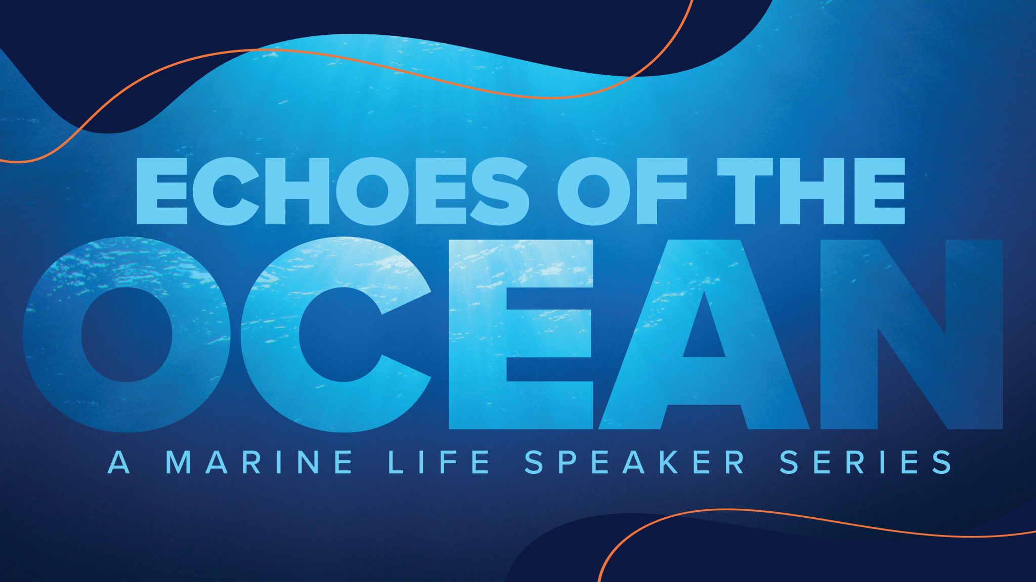 Clearwater Marine Aquarium Launches “Echoes of the Ocean”- Exciting New ...