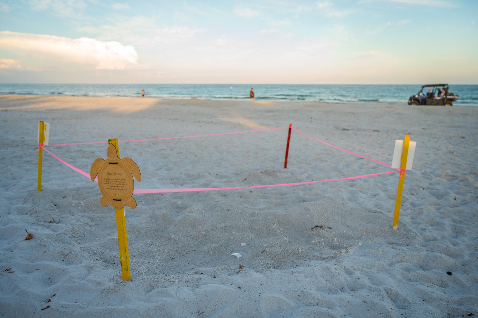 Clearwater Marine Aquarium Launches Sea Turtle Nesting Season Patrol