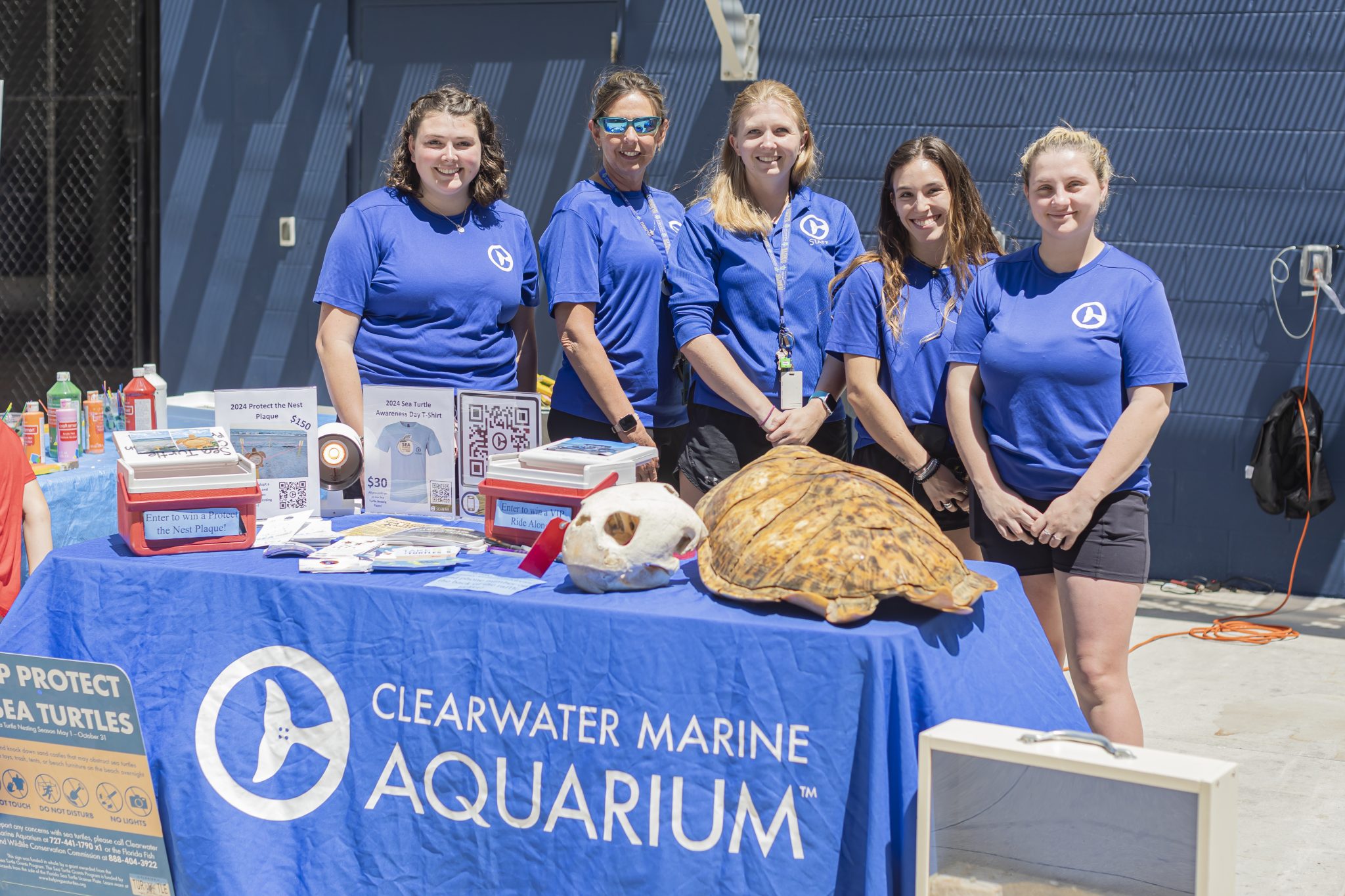 Celebrate Sea Turtle Awareness Day at Clearwater Marine Aquarium
